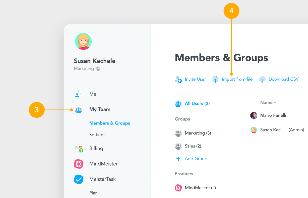 Invite Team Members via CSV Import – MindMeister Help